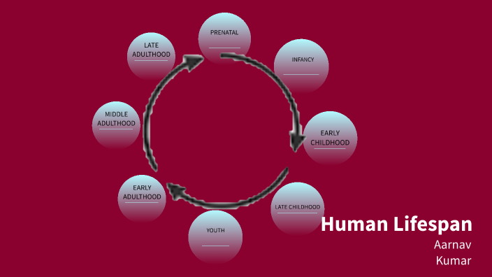 HHD Life Cycle by Aarnav KUMAR on Prezi