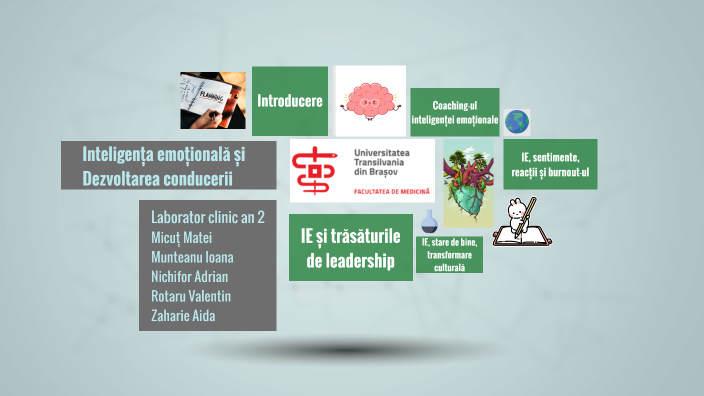 Emotional intelligence and leadership development by Adrian Nichifor on ...