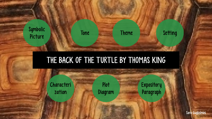 The Back Of The Turtle- One Pager by Sara Guglielmini on Prezi