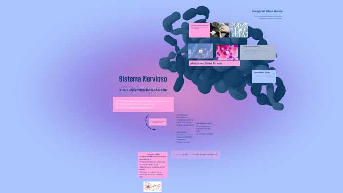 Sistema Nervioso by ELIZABETH CASTRO MONSALVE on Prezi