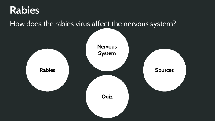 Rabies Nervous System by Sandor Nagy on Prezi