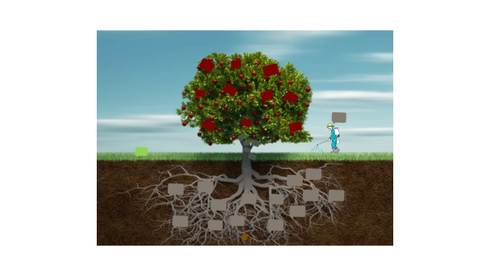 Human Rights Tree by Rafael Brenlha on Prezi