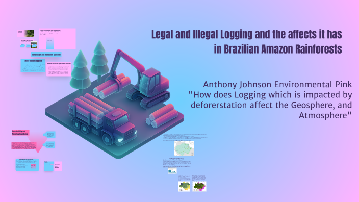 The Impact of Logging on the Brazilian Amazon Rainforests by Anthony ...
