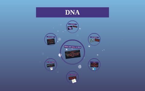 Natalie Rudy & Holly Feola DNA Project by Natalie Rudy