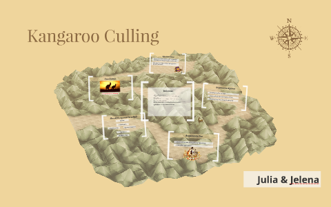 Kangaroo Culling by Jelena Yan on Prezi