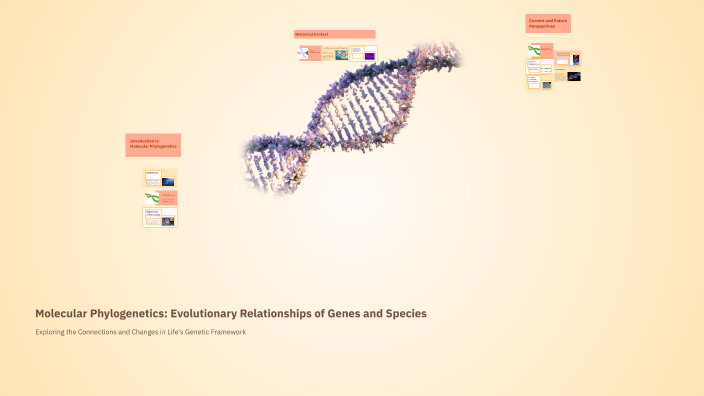 Molecular Phylogenetics: Evolutionary Relationships of Genes and ...