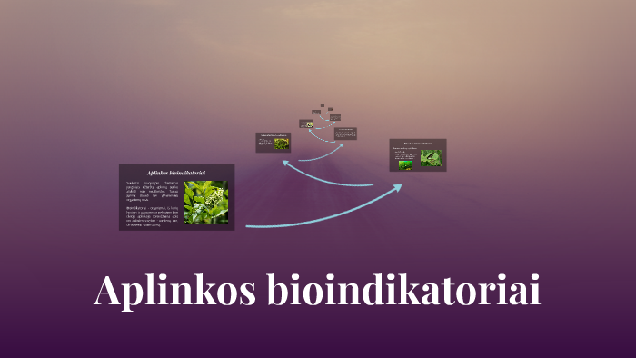 Aplinkos bioindikatoriai by Martyna Kučinskaitė on Prezi