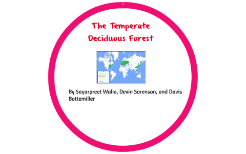 Biome Project: Temperate Deciduous Forest by Sayarpreet Walia on Prezi