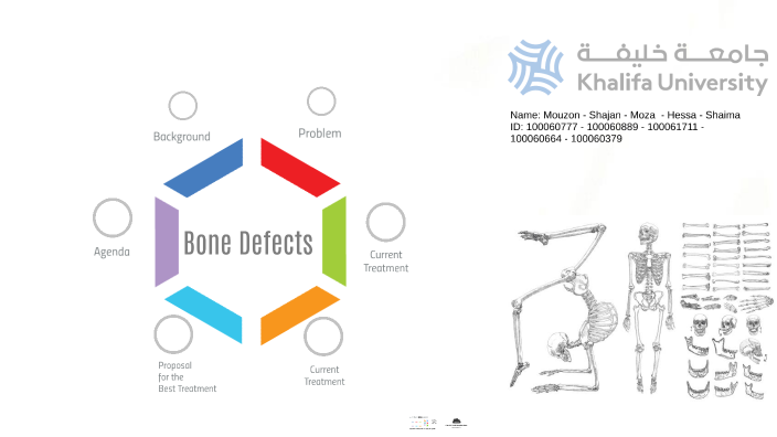 Anatomy Project by Human Anatomy on Prezi