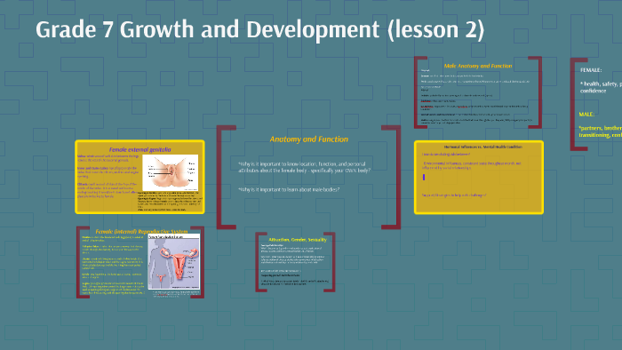 Grade 7 Growth and Development (lesson 2) by EA 4Bes on Prezi
