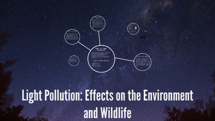 Light Pollution: Effects on the Environment and Wildlife by Mavis Wu on ...