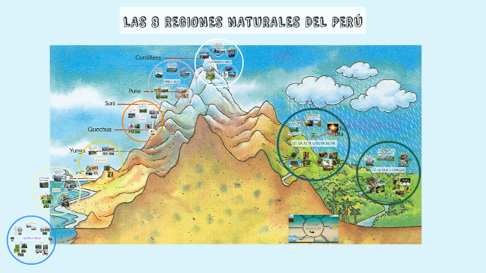 LAS 8 REGIONES NATURALES DEL PERÚ by Sofia Reátegui on Prezi