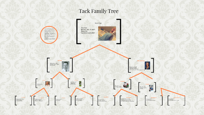Tack family tree by drew tack on Prezi