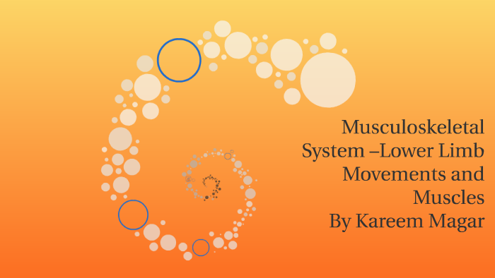 Musculoskeletal System –Lower Limb Movements and Muscles by Kareem Magar