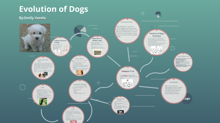 Evolution of Dogs by Emily Varela on Prezi