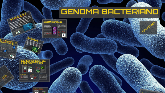 GENOMA BACTERIANO by Mishi Alzugaray on Prezi