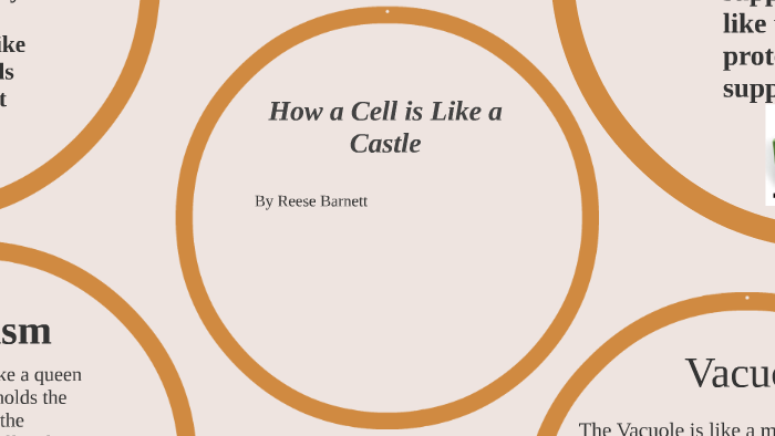 How a Cell is Like a Castle by Reese Barnett on Prezi