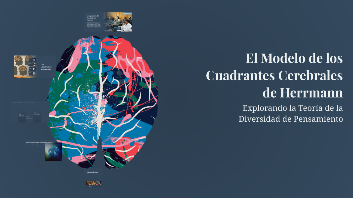 El Modelo de los Cuadrantes Cerebrales de Herrmann by DARKAR BOLIVAR on ...