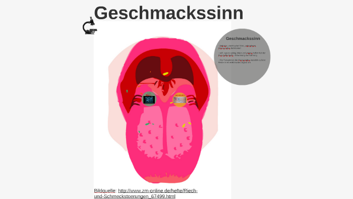Geschmackssinn by on Prezi