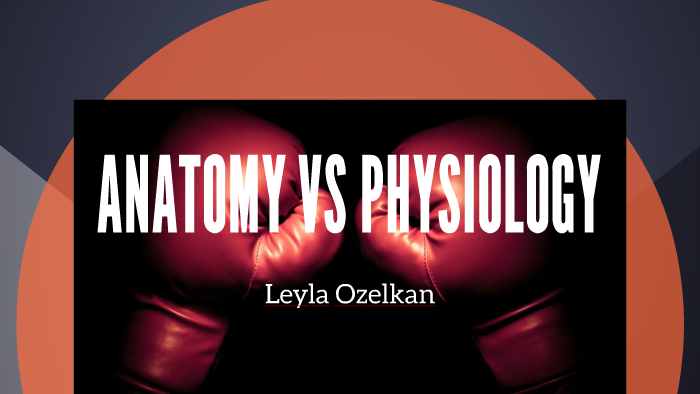 Anatomy Vs Physiology By On Prezi