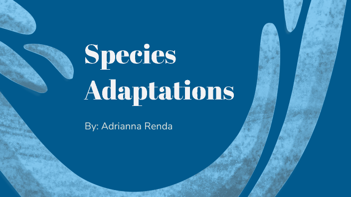 Evolution Assignment: Species Adaptations by Adrianna Renda on Prezi