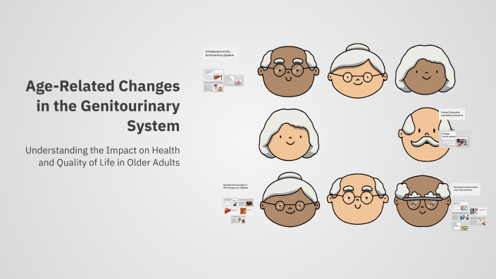 Age-Related Changes in the Genitourinary System by Miguel Once on Prezi