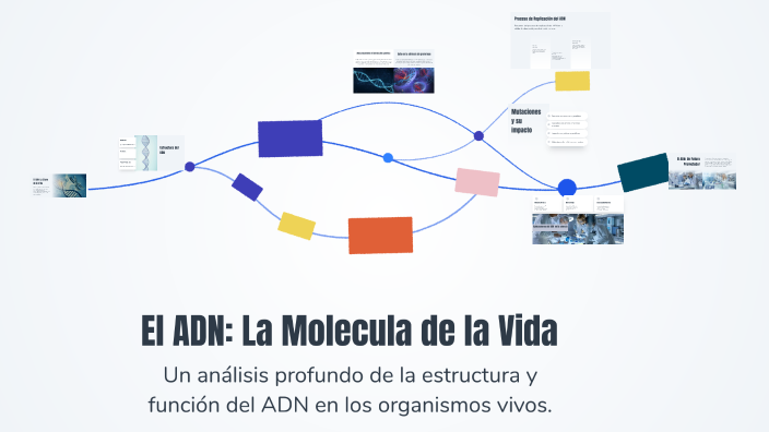 El ADN: La Molecula de la Vida by Alison Rivas Cano on Prezi