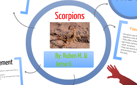 Elephantitis by ruben martinez on Prezi