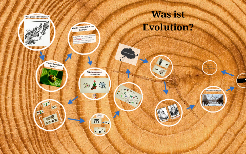 Was Ist Evolution ? – Evolution Auf Deutsch – OIDK