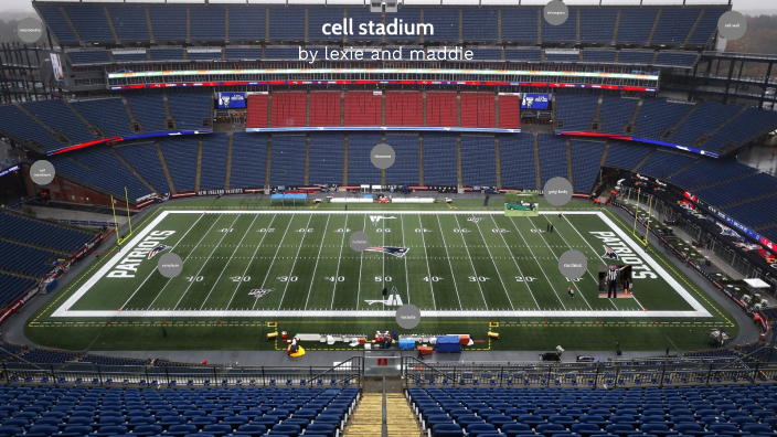 cell stadium by Madeline Hamilton on Prezi