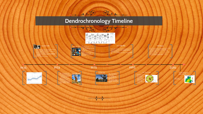 Dendrochronology Timeline by Cassie Geesey