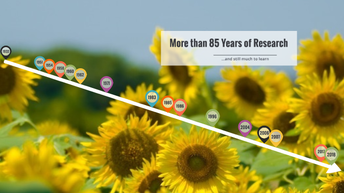 Sunflower Syndrome by Bradley Fleming on Prezi