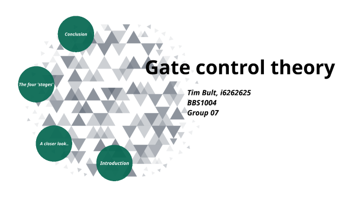 Gate control theory by Tim Bult
