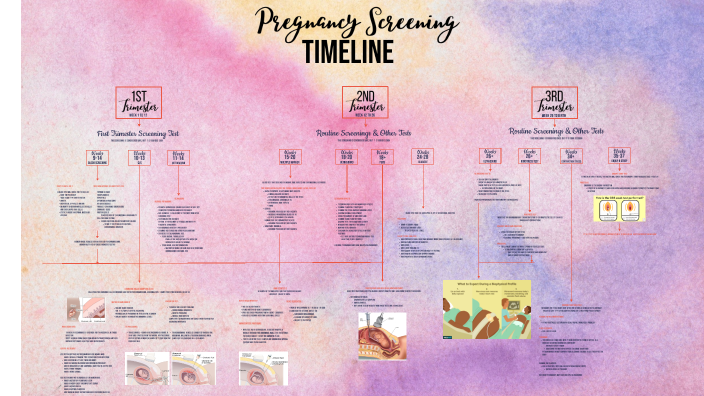 Pregnancy Screening Timeline by Amanda Saunders on Prezi