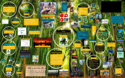 Ecology by Ina Palii on Prezi