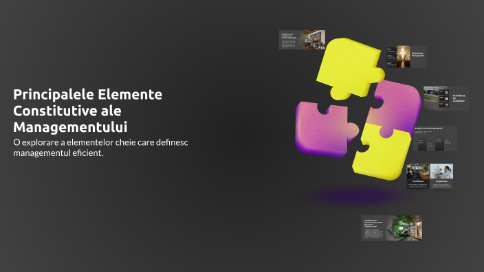 Principalele Elemente Constitutive ale Managementului by Sandu Rosca on ...