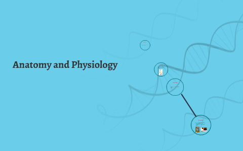 Anatomy and Physiology by Chase Crump on Prezi