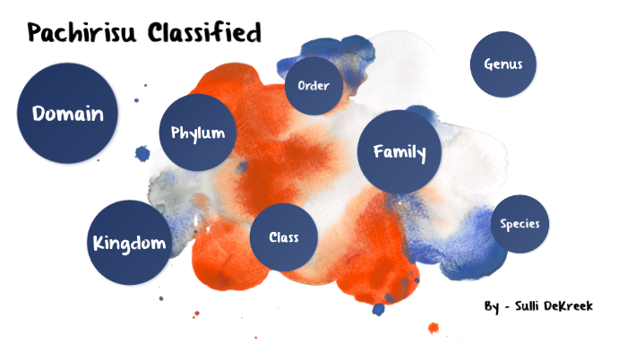 Pokemon Classification Project by Sulli DeKreek on Prezi