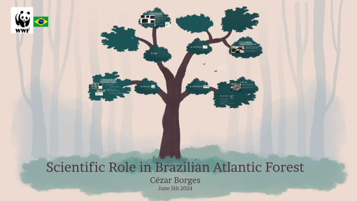 Oficina ESALQ 2024 by Cezar Borges on Prezi