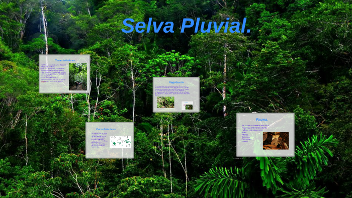 Selva Pluvial. by Daniel Rojas on Prezi