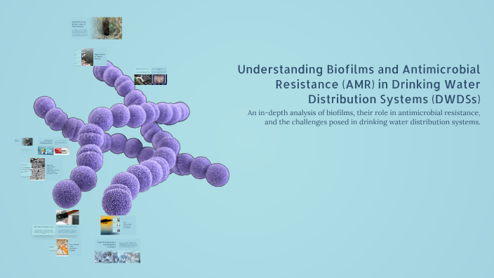 Understanding Biofilms And Antimicrobial Resistance Amr In Drinking