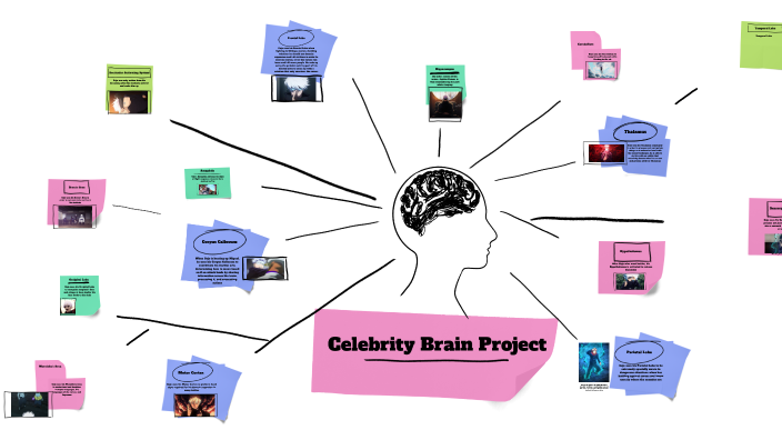 Celebrity Brain Project by andrew mcclurg on Prezi