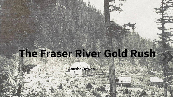 The Fraser River Gold Rush by Anusha D on Prezi
