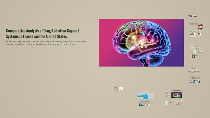 Comparative Analysis of Drug Addiction Support Systems in France and ...