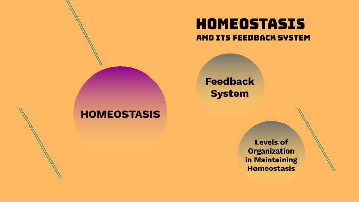 Homeostasis and Feedback Systems by Gutierrez Valerie C. on Prezi