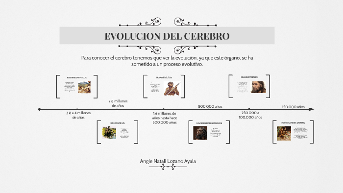 EVOLUCION DEL CEREBRO by Natali Lozano on Prezi