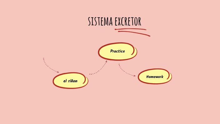 sistema excretor by martina levis on Prezi