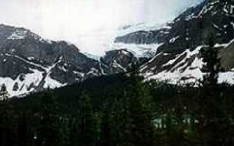 Biome: Taiga by Shelby Wilson on Prezi