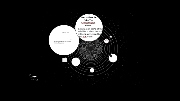 wildlife by Lucas Bey on Prezi