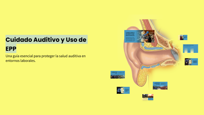 Cuidado Auditivo y Uso de EPP by Profesional SST EPA on Prezi
